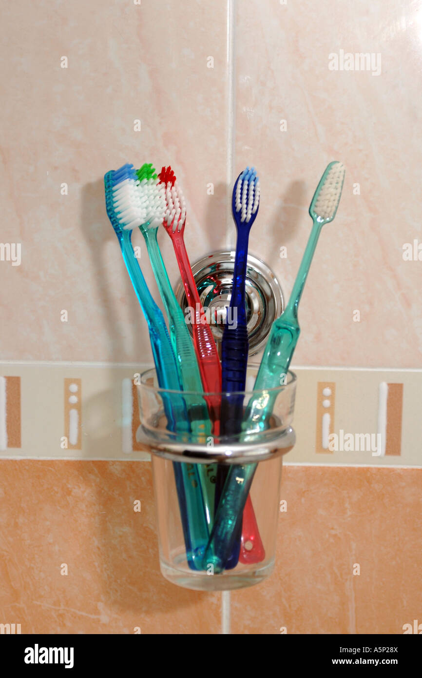 Group of family toothbrushes in a beaker fixed to the bathroom wall ...
