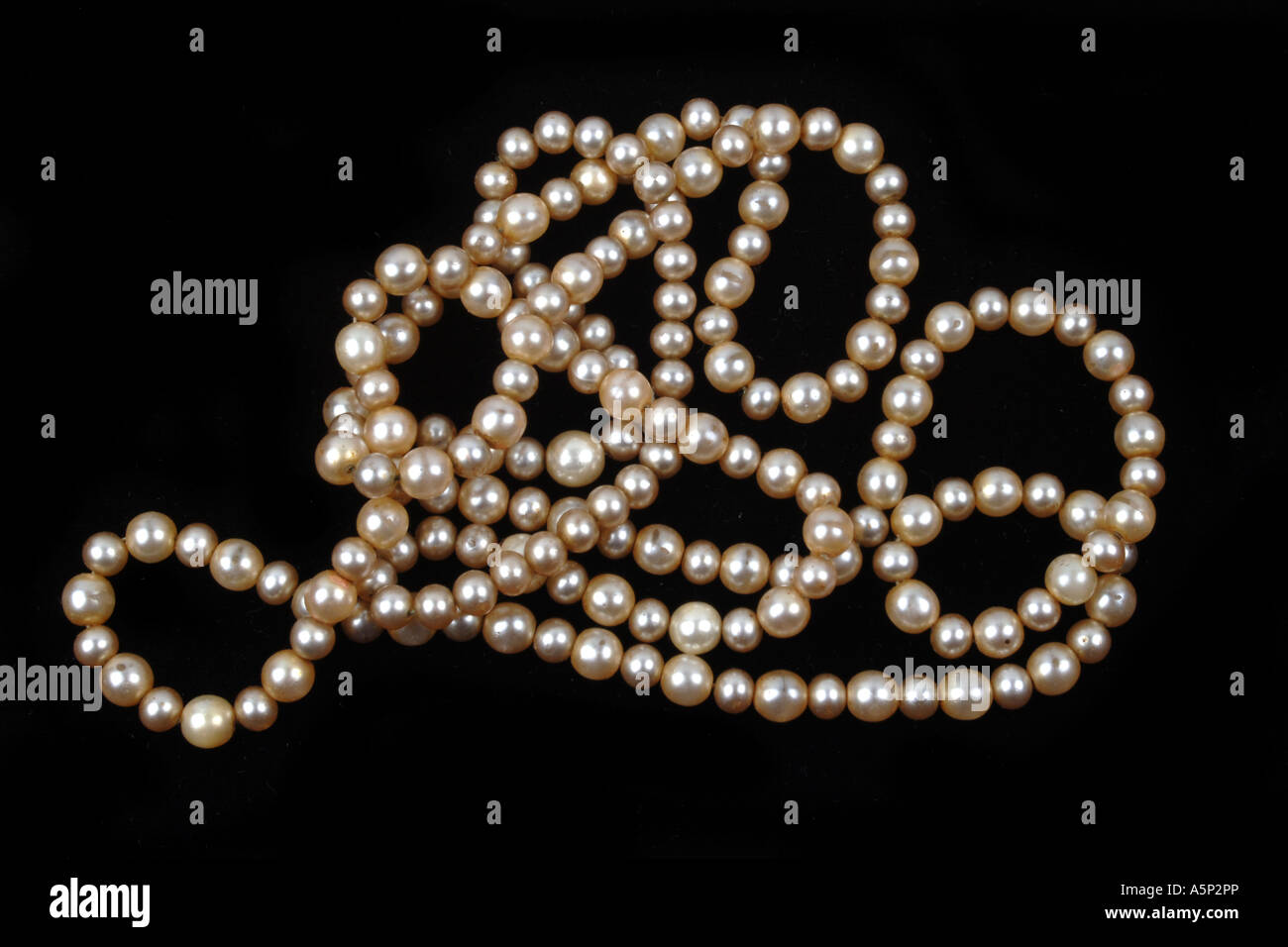 A ladies String of Pearls necklace Stock Photo - Alamy