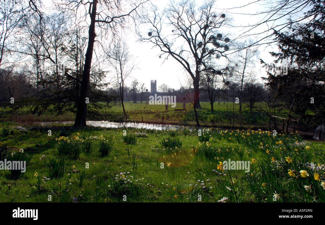 View of Magdalen College over the Water Meadow in spring Stock Photo ...