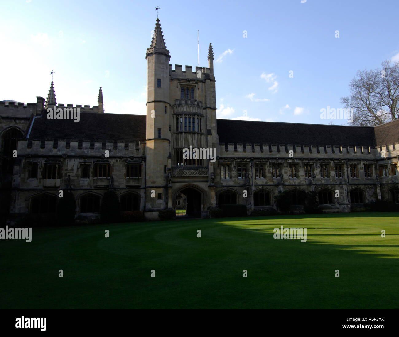 Magdalen College Cloister Quadrangle and Founders Tower Stock Photo - Alamy