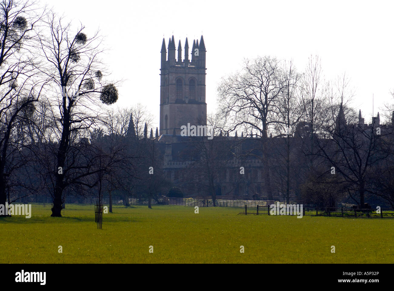 Magdalen College and Tower from the Water Meadow Stock Photo - Alamy