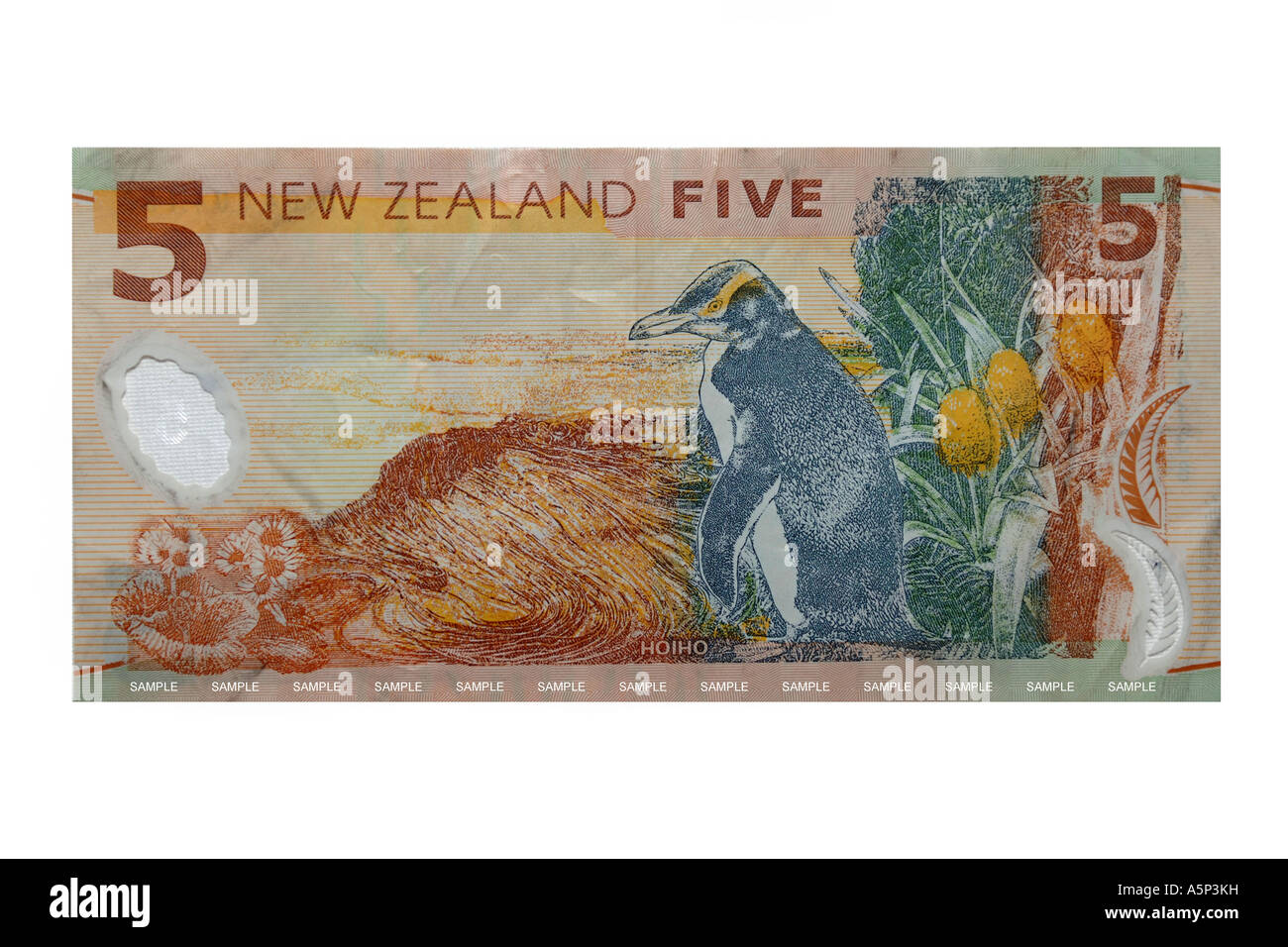 New zealand bank note hi-res stock photography and images - Alamy