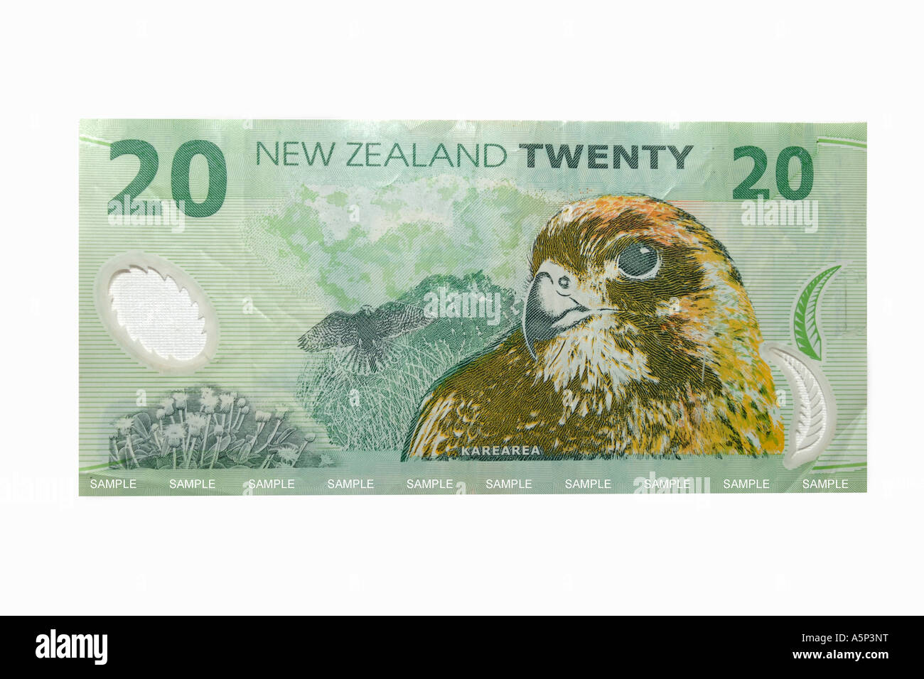 A Karearea on a New Zealand 20 dollar note Stock Photo - Alamy
