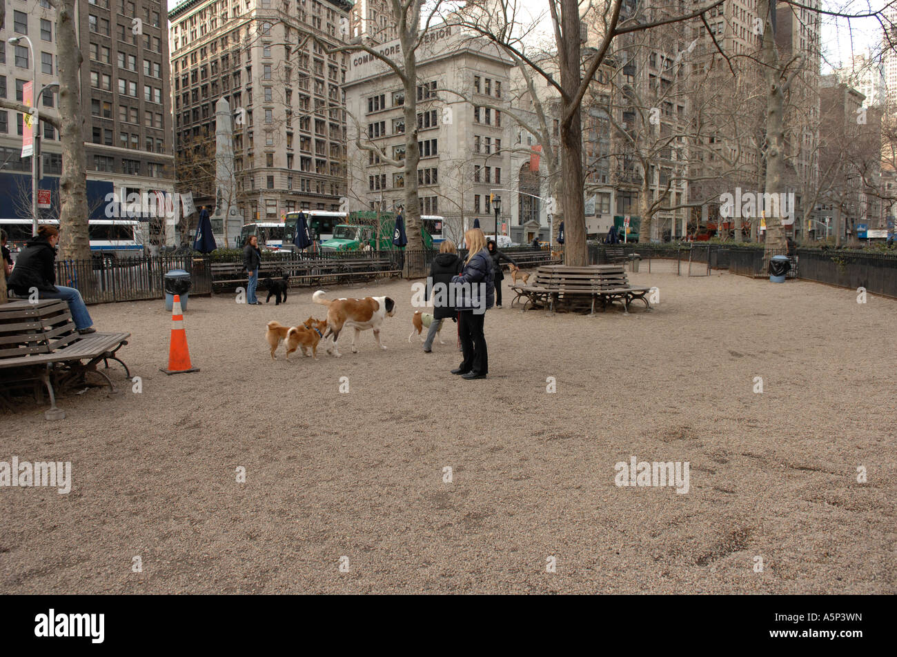 Dog Walking Area in New York Stock Photo - Alamy