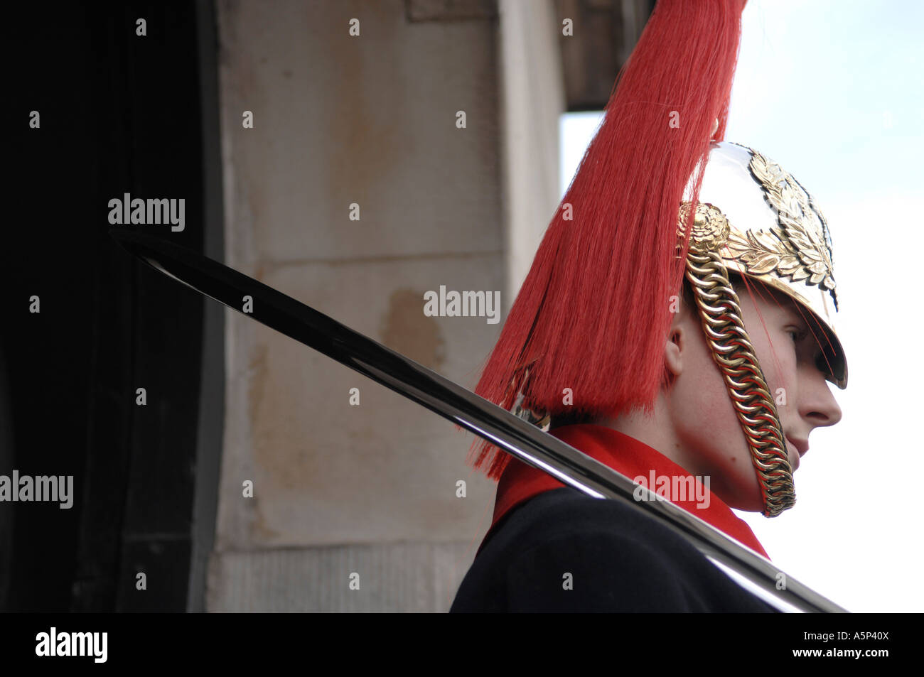 Royal House Guard Stock Photo - Alamy