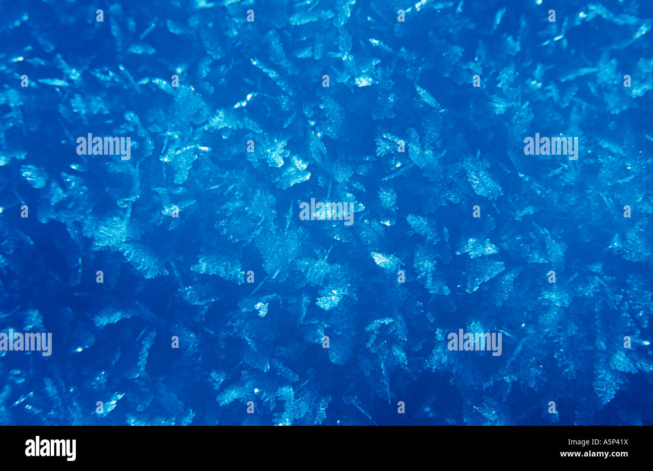 Frostwork hi-res stock photography and images - Alamy