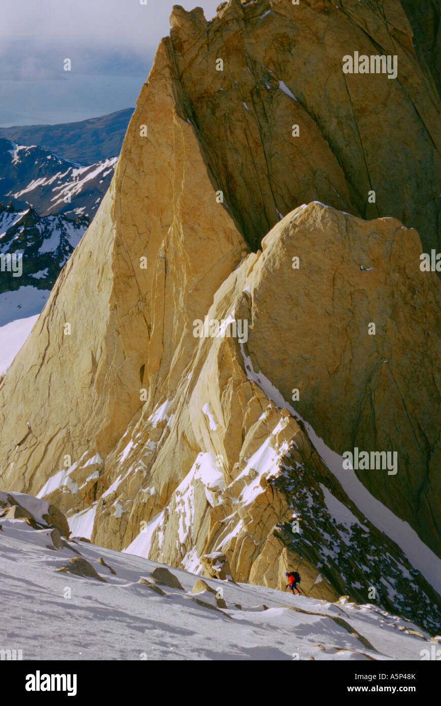 Mike roy hi-res stock photography and images - Alamy