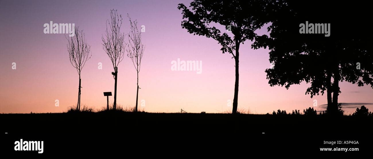 Milton keynes trees hi-res stock photography and images - Alamy