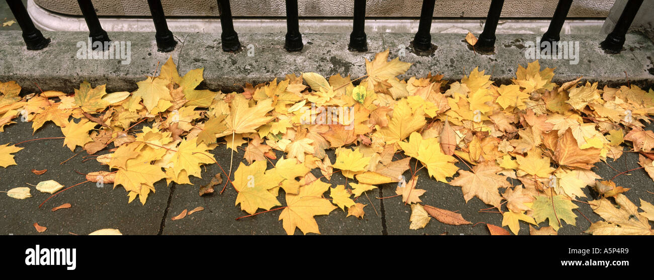 Autumn leaves by railings London Stock Photo - Alamy