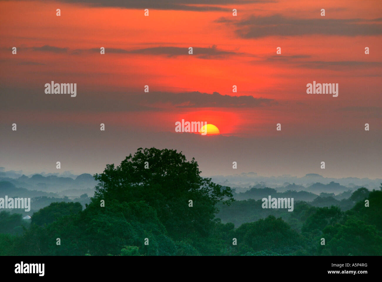 Dawn over the amazon rainforest hi-res stock photography and images - Alamy