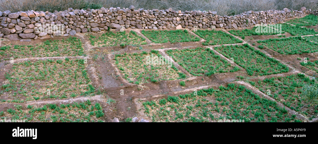 Fields patterns farming panoramic hi-res stock photography and images ...