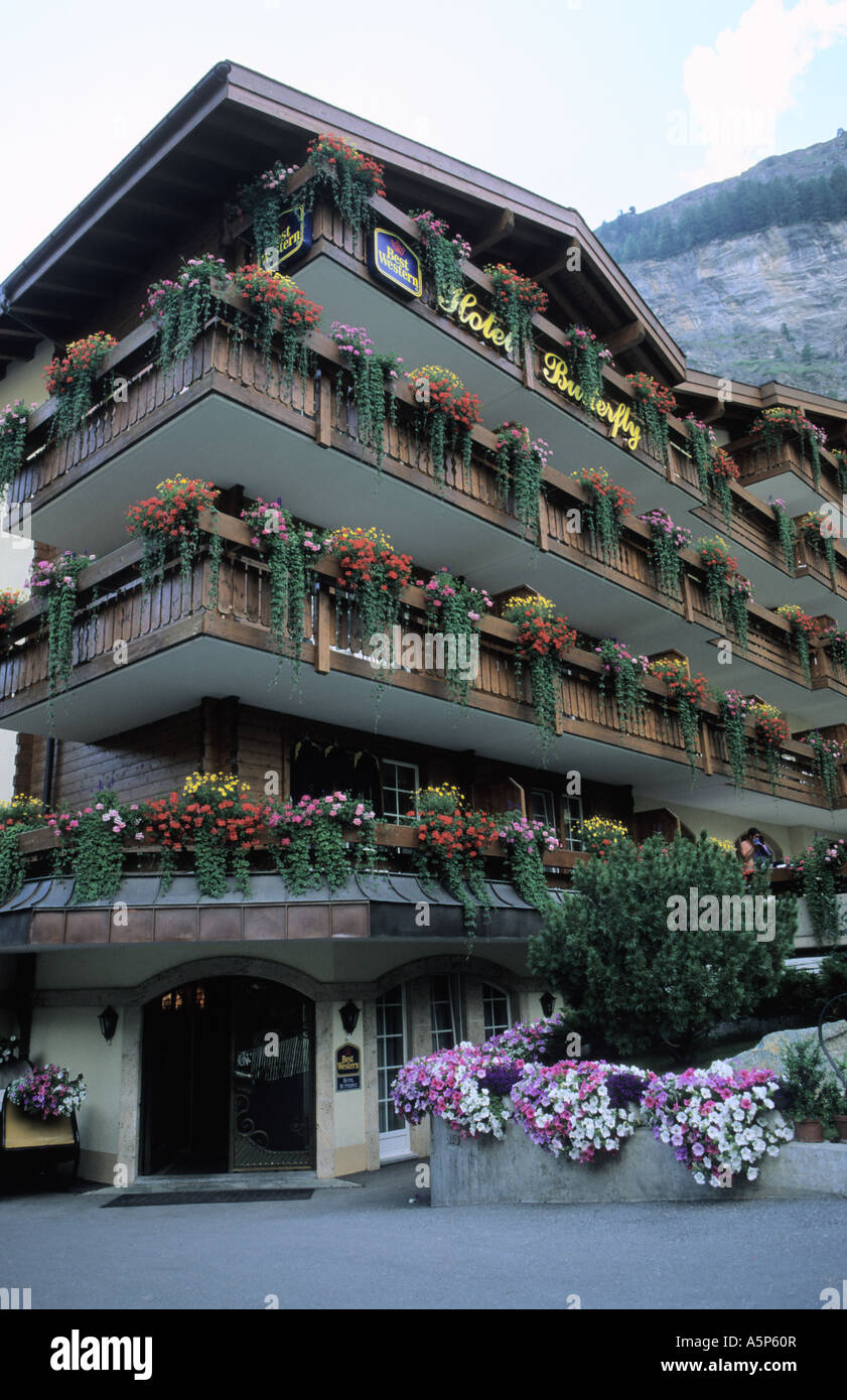 Butterfly hotel hi-res stock photography and images - Alamy