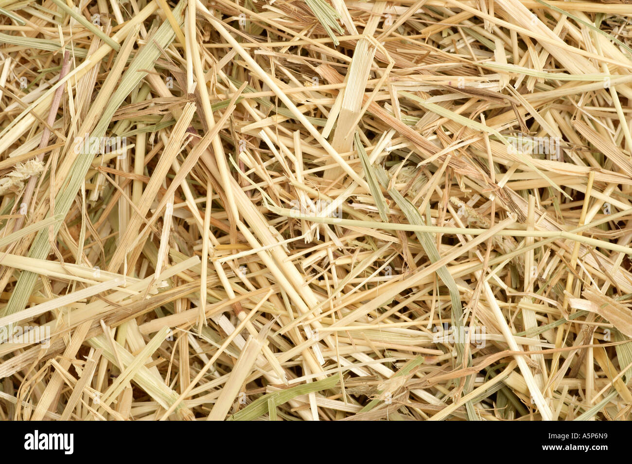 Hay bedding hi-res stock photography and images - Alamy