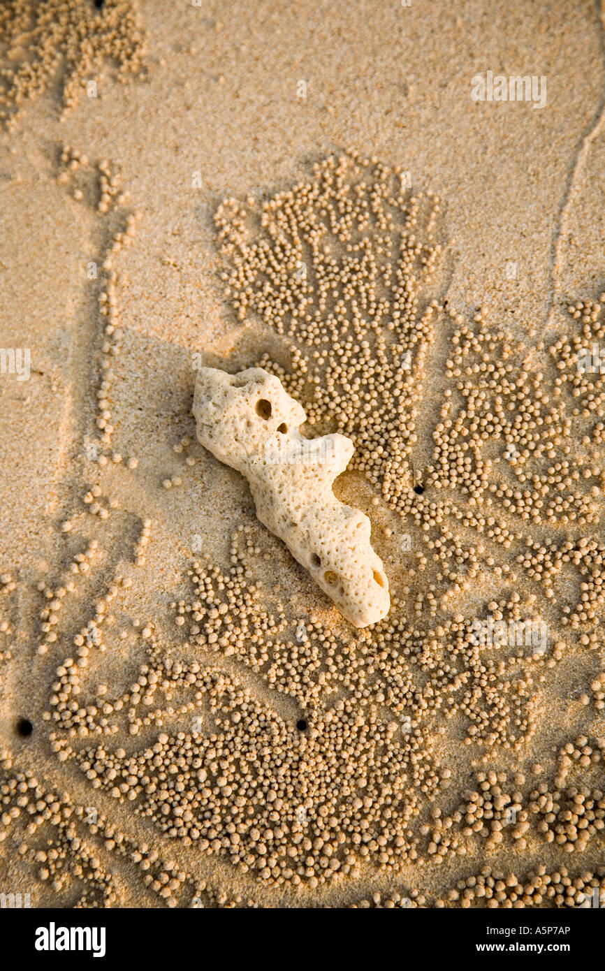 Human shaped town hi-res stock photography and images - Alamy