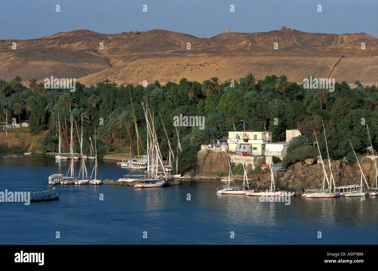 Egypt aswan island elephantine hi-res stock photography and images - Alamy