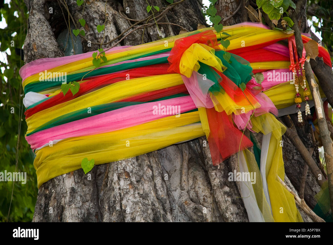 Cloth tied around tree hi-res stock photography and images - Alamy