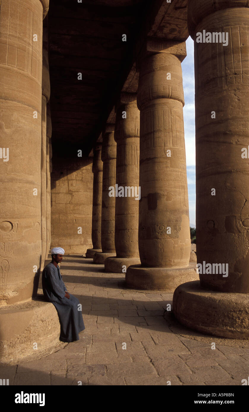 The Ramesseum, temple of Rameses II, the great Hypostyle hall, Ancient ...
