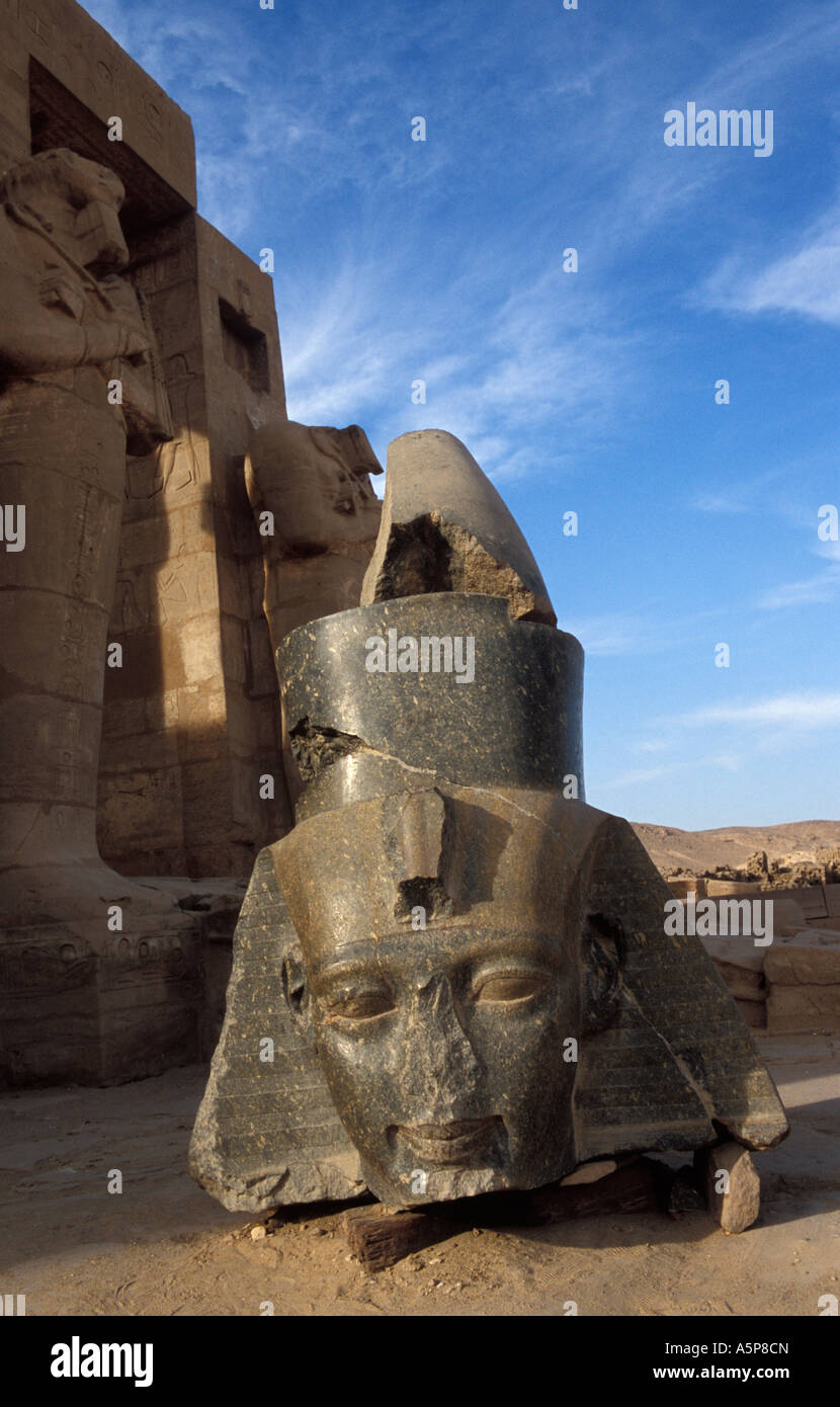 The Ramesseum, temple of Rameses II, colossal head of Rameses II ...