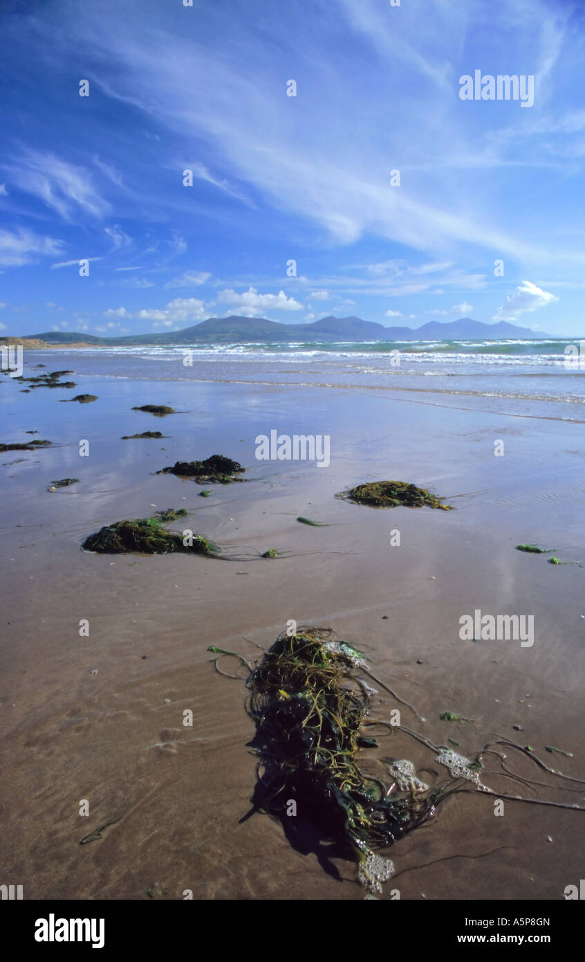 Beach at Dinas Dinlle near Caernarfon Gwynedd north Wales UK Stock ...