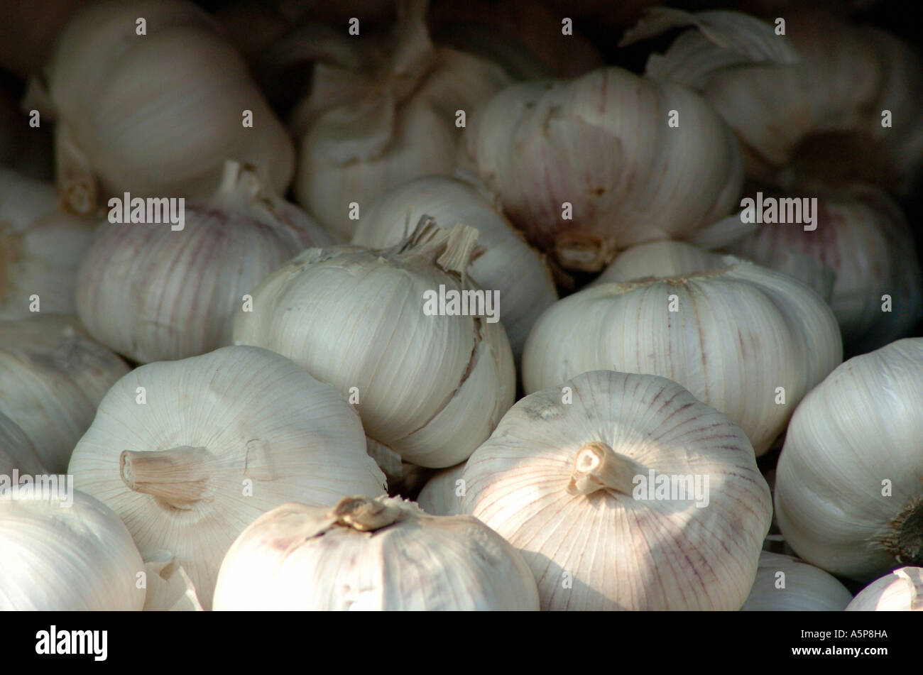 Garlic on display at a farmers market Stock Photo - Alamy