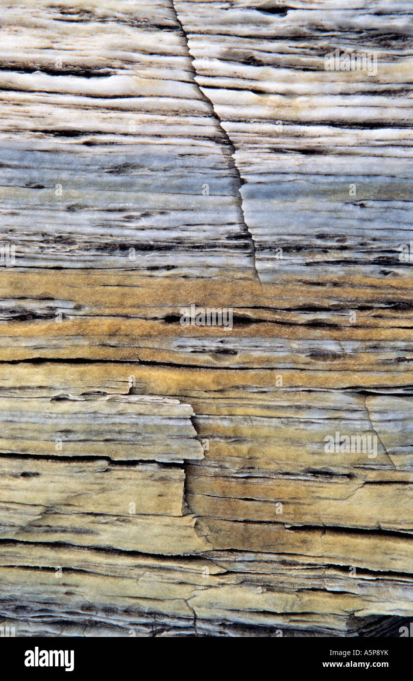 Surface of a rock Stock Photo - Alamy