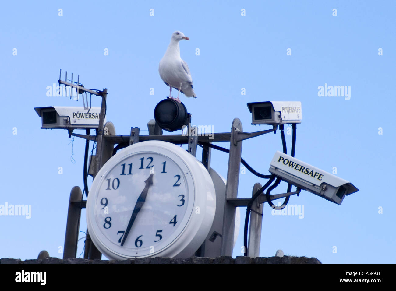 CCTV Clock Aerial Camera & Seagull Stock Photo - Alamy