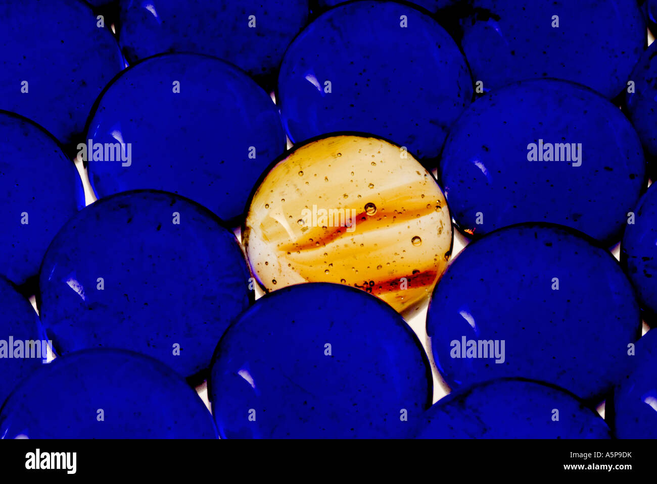 Group of blue glass marbles with single amber colored marble in center ...