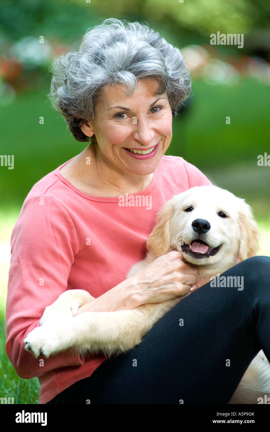 Senior woman portrait with golden retriever puppy Stock Photo - Alamy