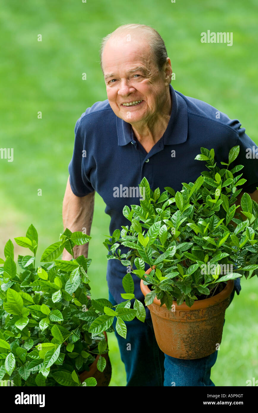 Healthy senior man holding healthy plants Stock Photo - Alamy