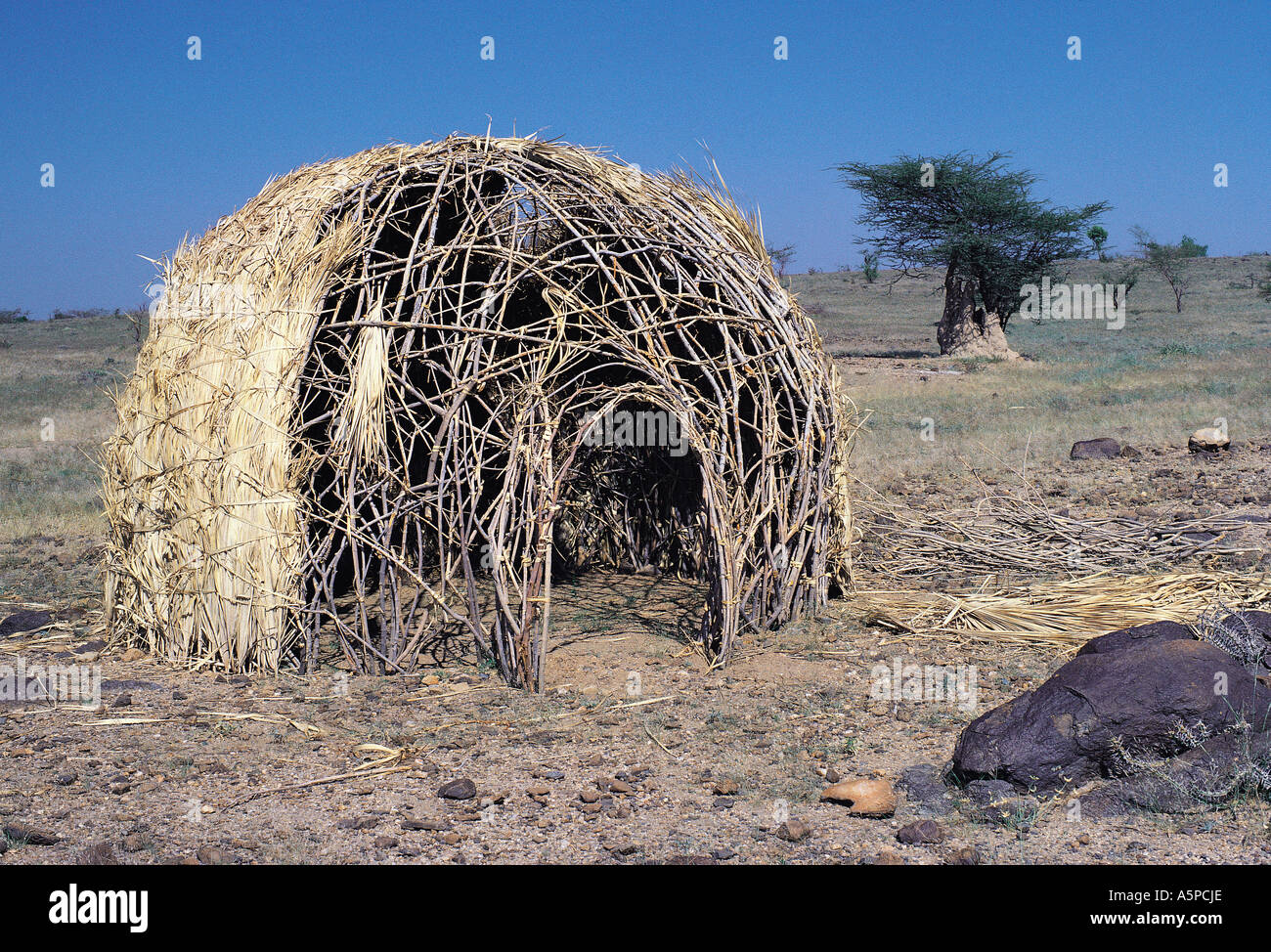 Hut made of branches hi-res stock photography and images - Alamy