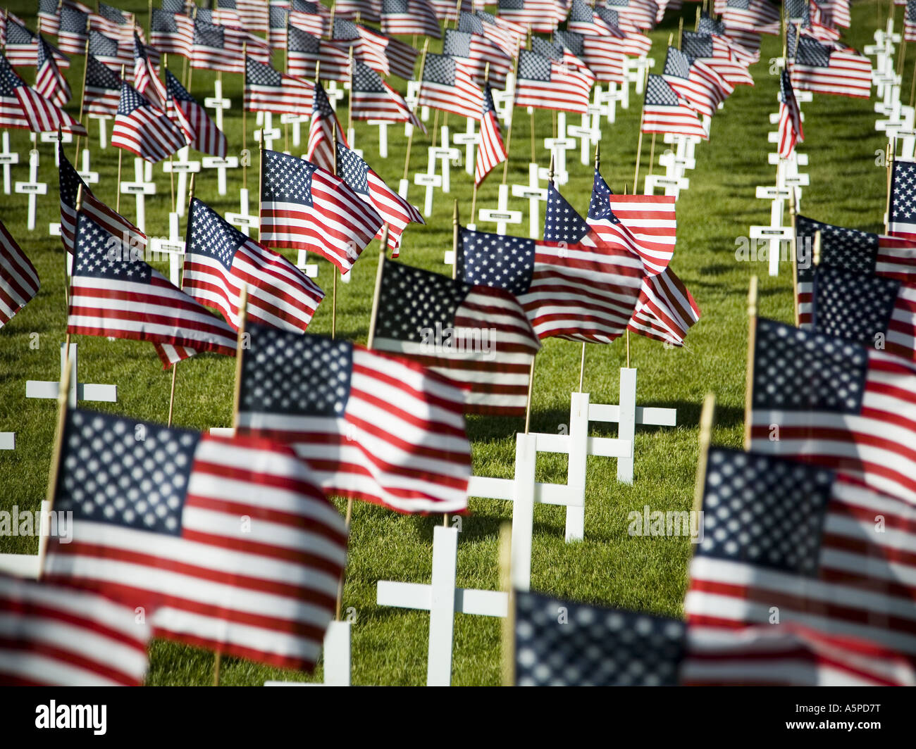 Cross markers with US flags Stock Photo - Alamy