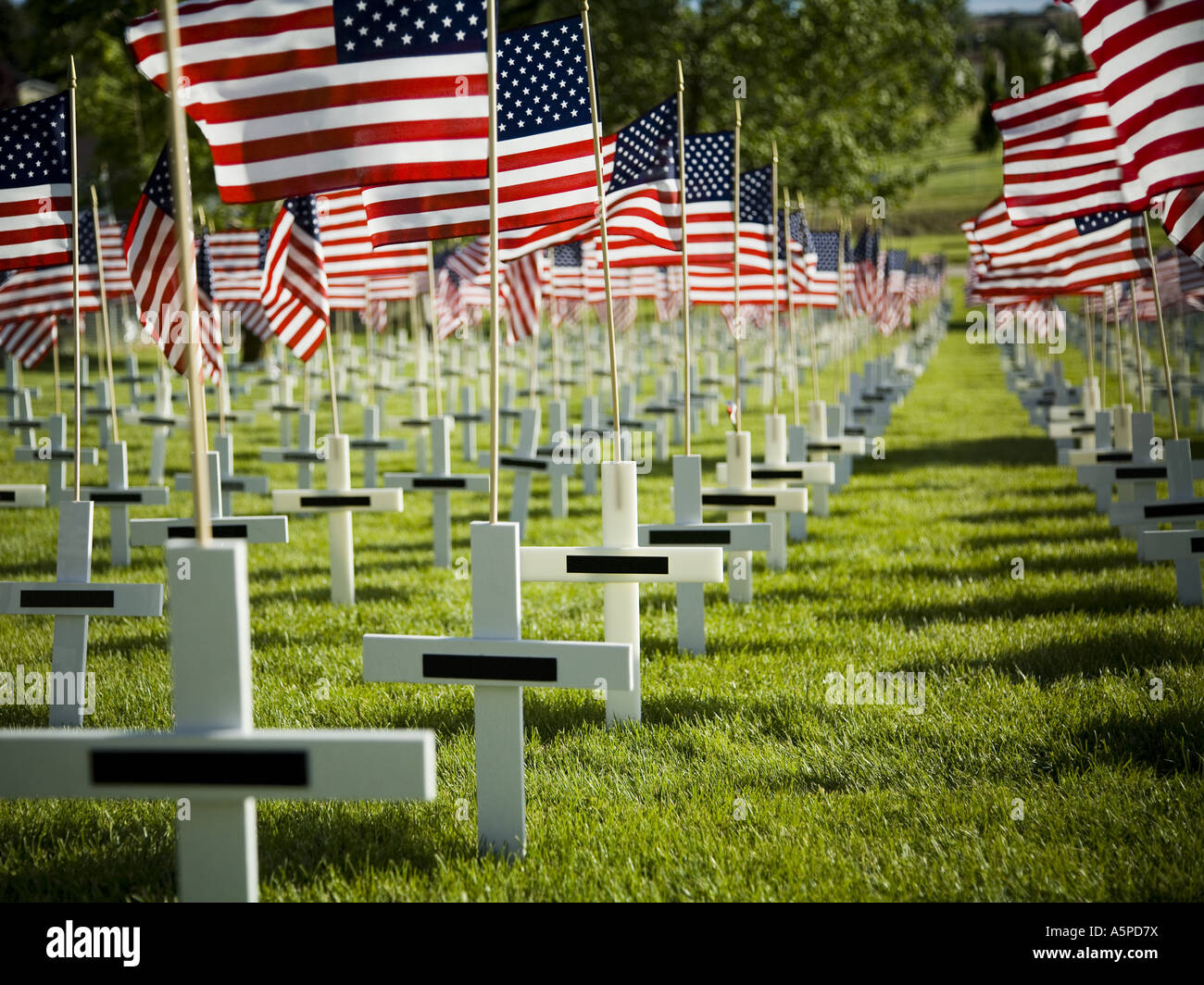 Cross markers with US flags Stock Photo - Alamy