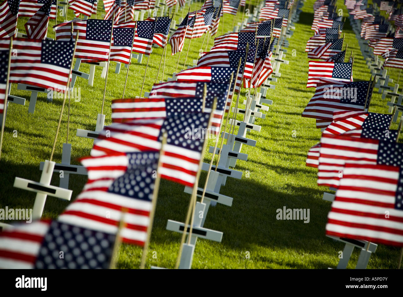 Cross markers with US flags Stock Photo - Alamy