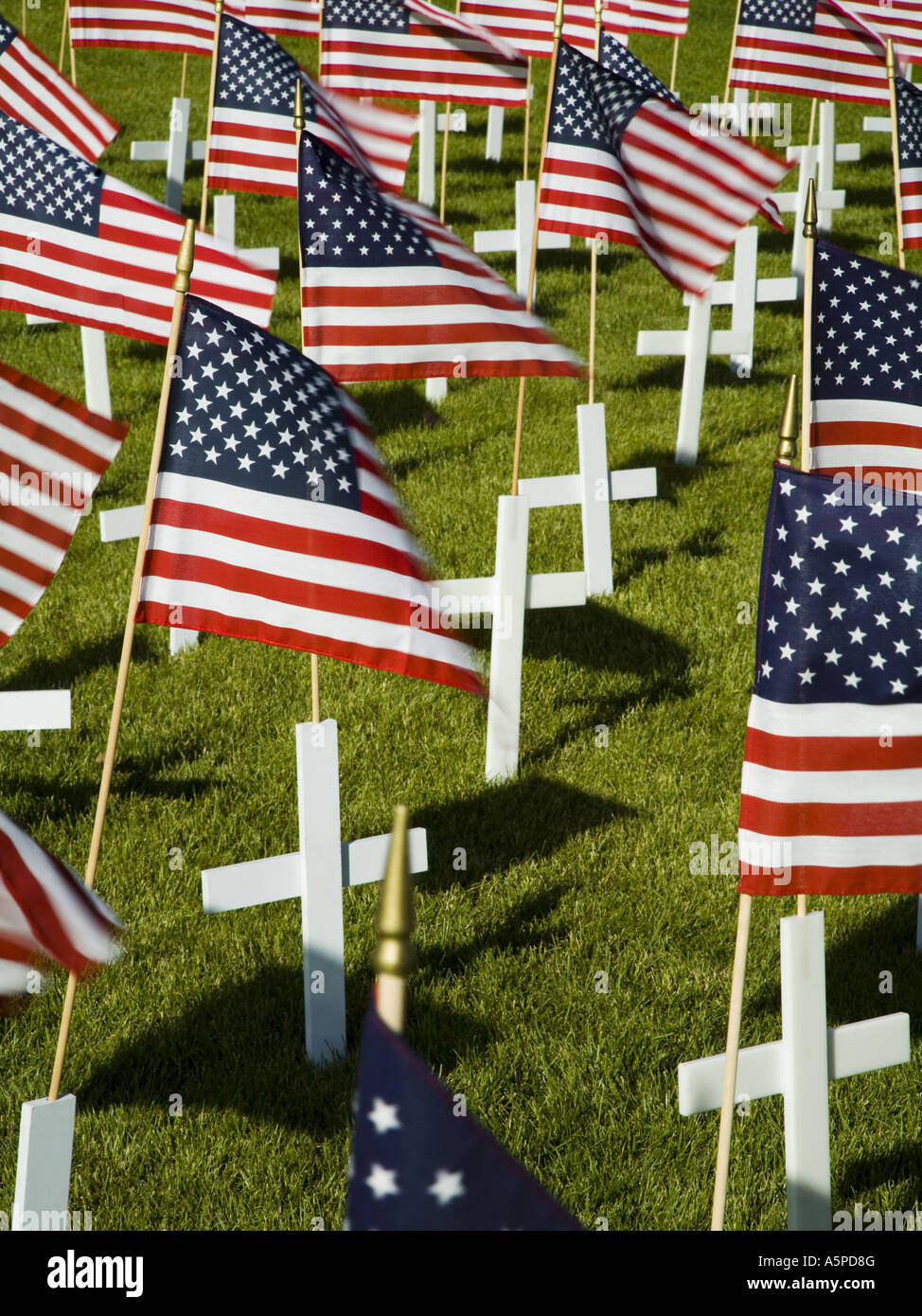 Cross markers with US flags Stock Photo - Alamy