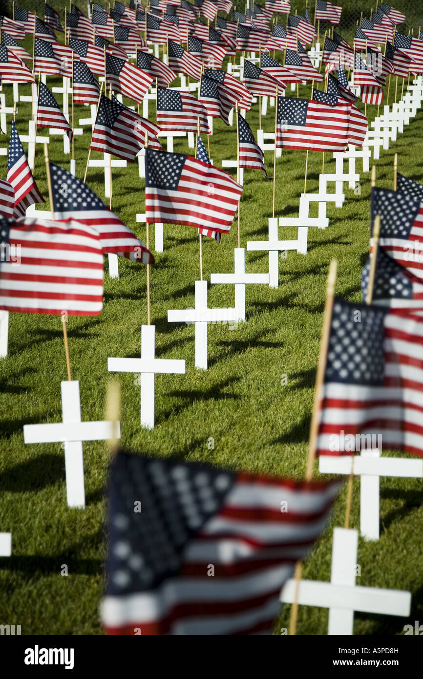 Cross markers with US flags Stock Photo - Alamy
