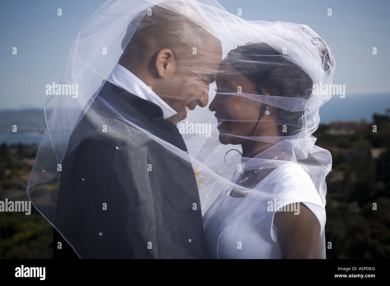 Young wedding couple under veil hi-res stock photography and images - Alamy