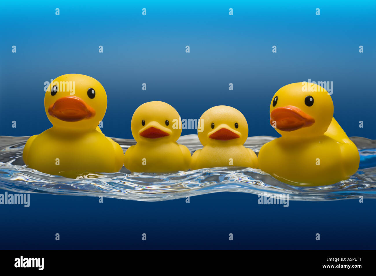 Toy duck images hi-res stock photography and images - Alamy