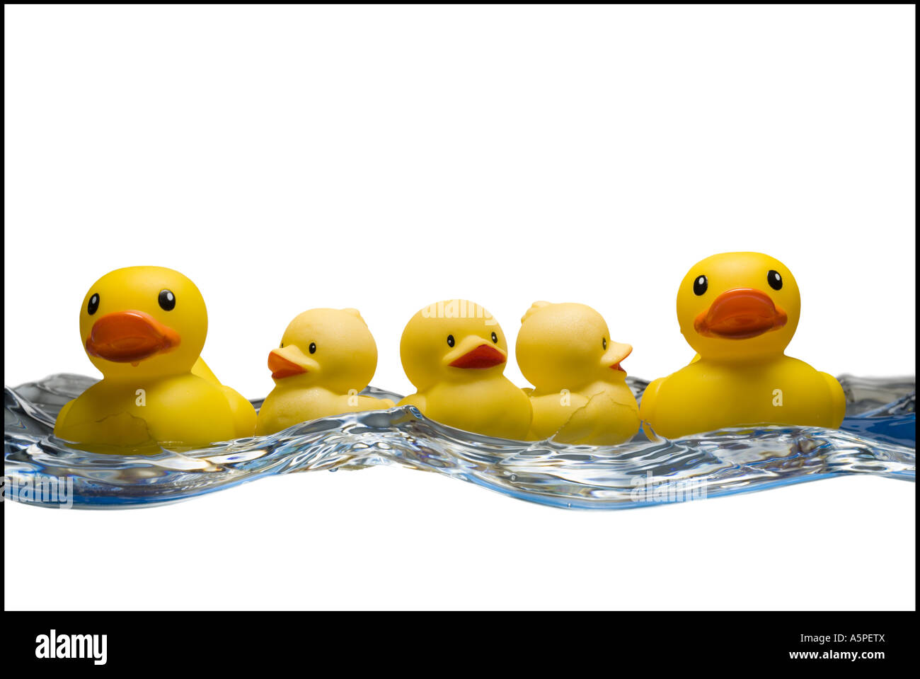 Four ducks in a row hi-res stock photography and images - Alamy