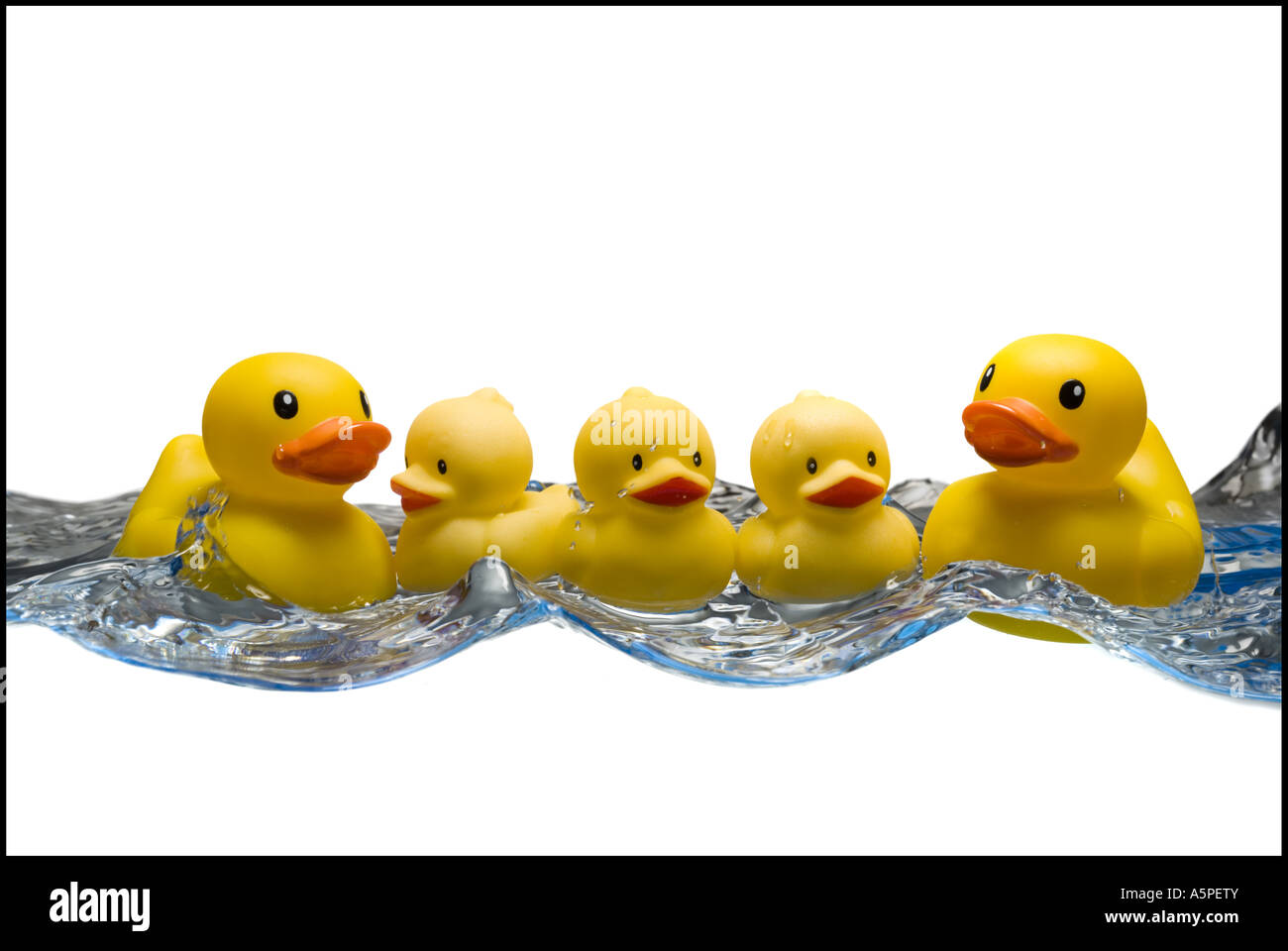 Four ducks in a row hi-res stock photography and images - Alamy