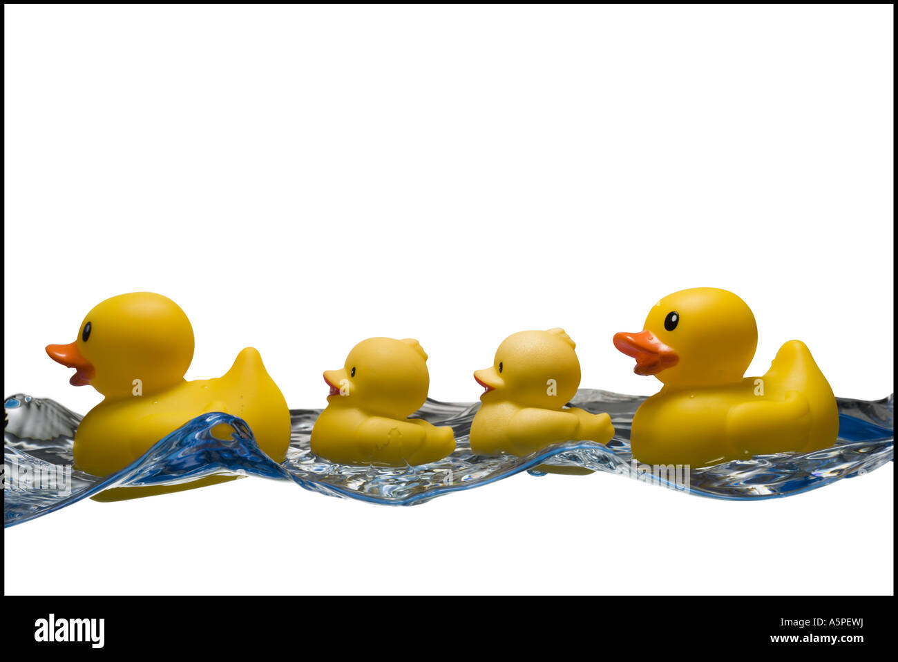 Four ducks in a row hi-res stock photography and images - Alamy