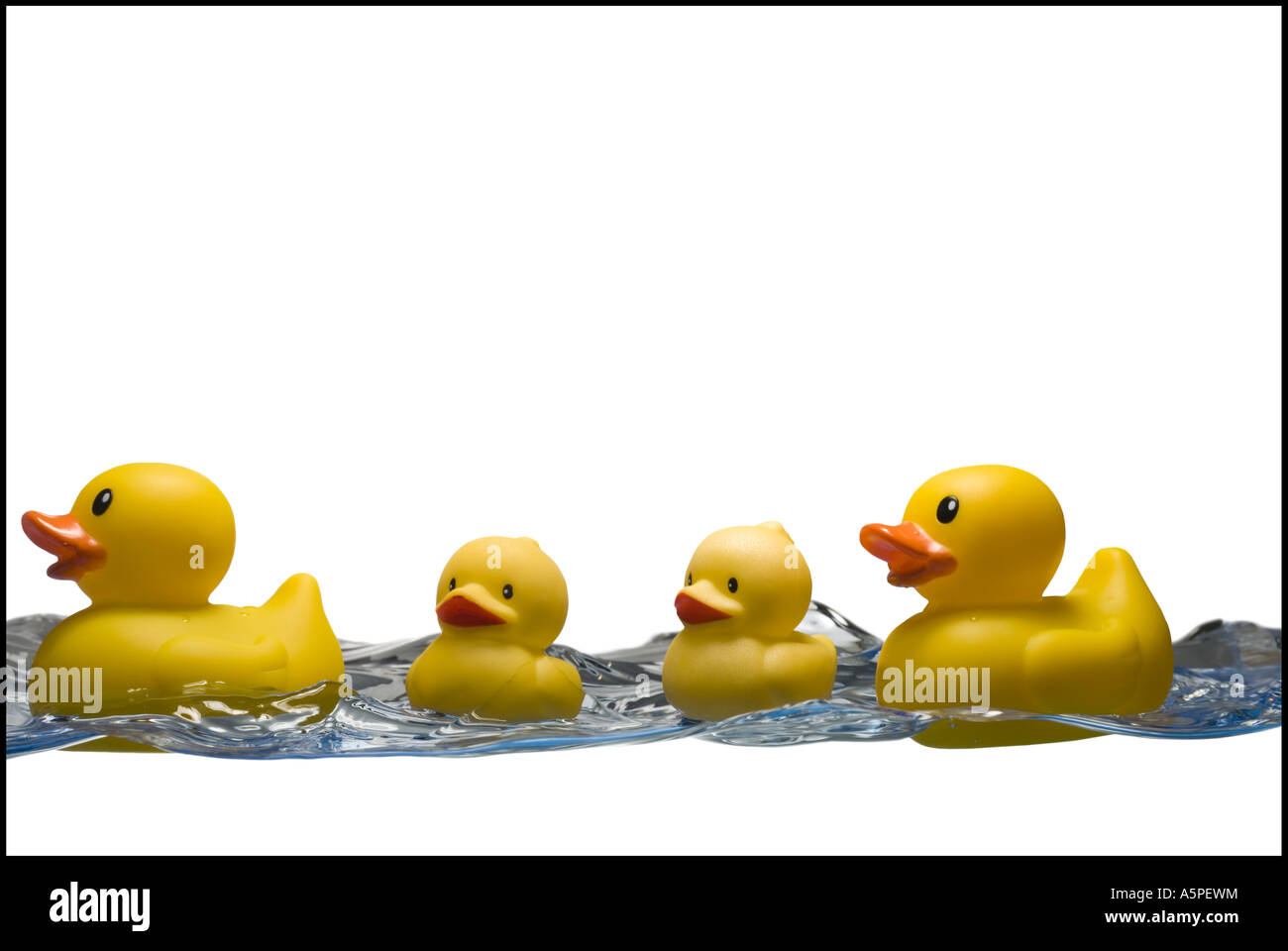 Four ducks in a row hi-res stock photography and images - Alamy