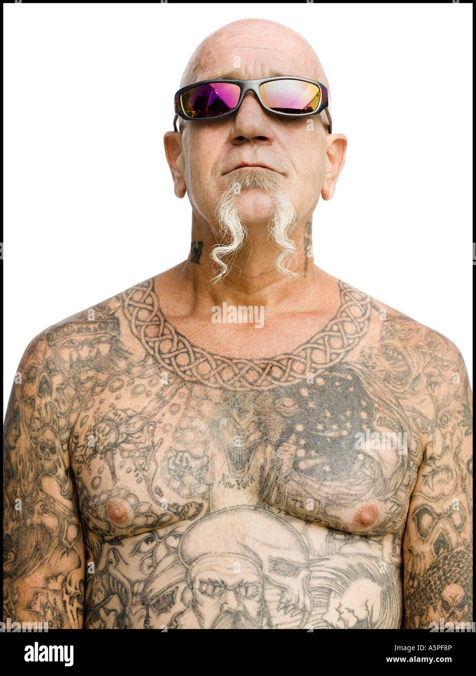 Animal handler with owl Stock Photo - Alamy