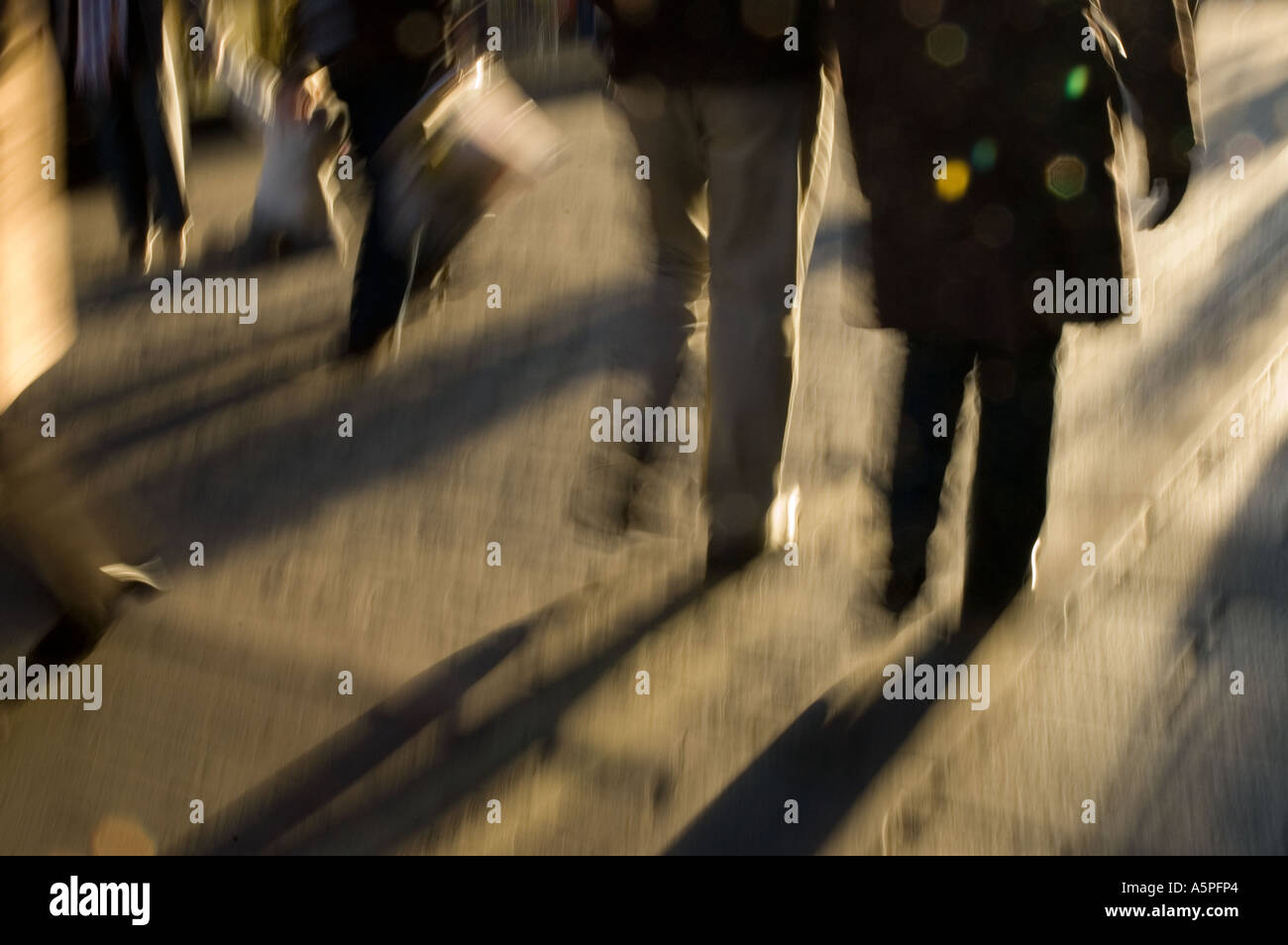 Grow towards sunlight hi-res stock photography and images - Alamy