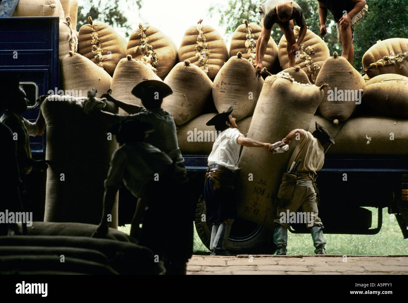 Loading large wool sacks truck hi-res stock photography and images - Alamy