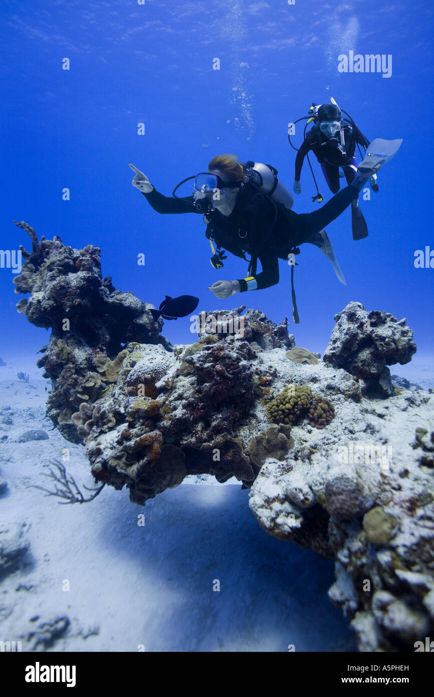 Couple scuba diving Stock Photo - Alamy