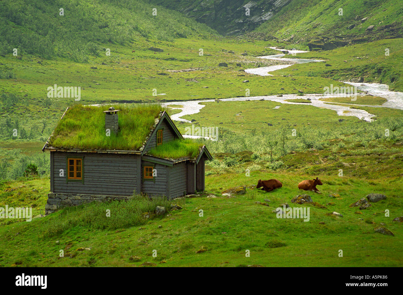 Norwegian traditional grass roof house Stock Photo - Alamy
