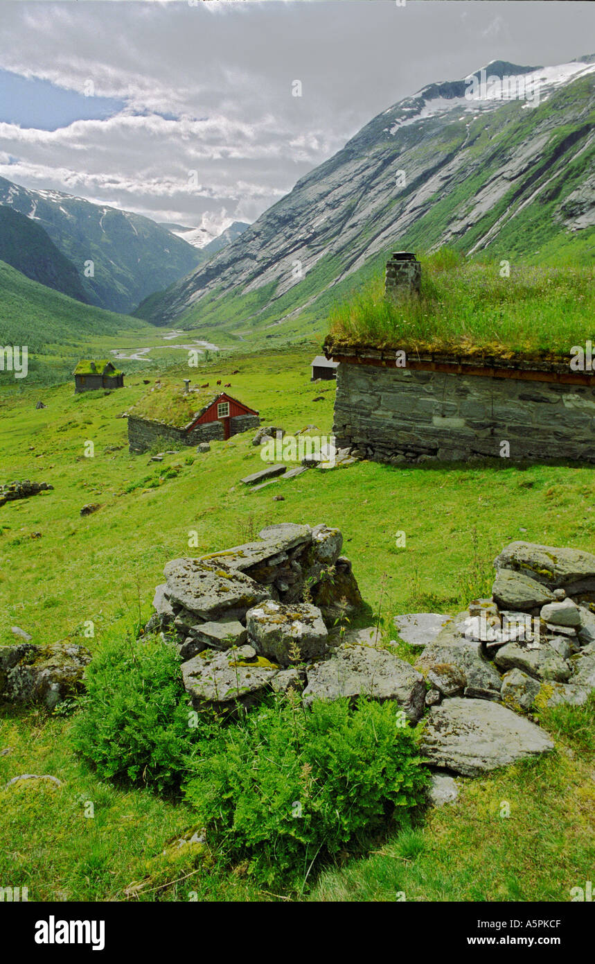 Norwegian traditional grass roof house Stock Photo - Alamy