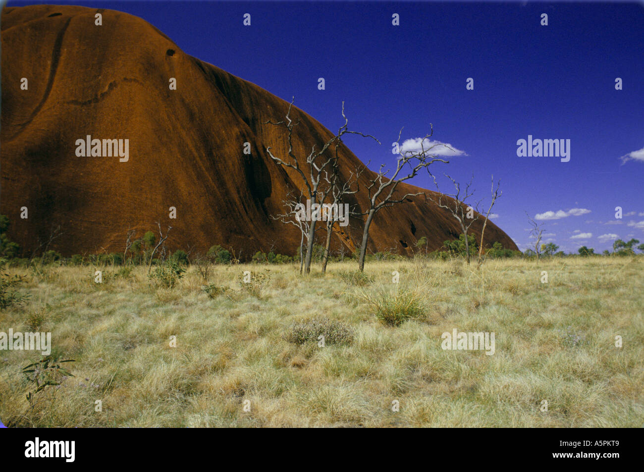 Henry ayers hi-res stock photography and images - Alamy