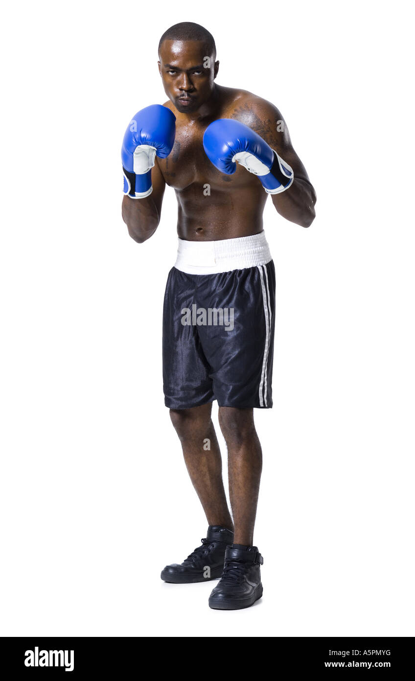 Boxers cutout hi-res stock photography and images - Alamy