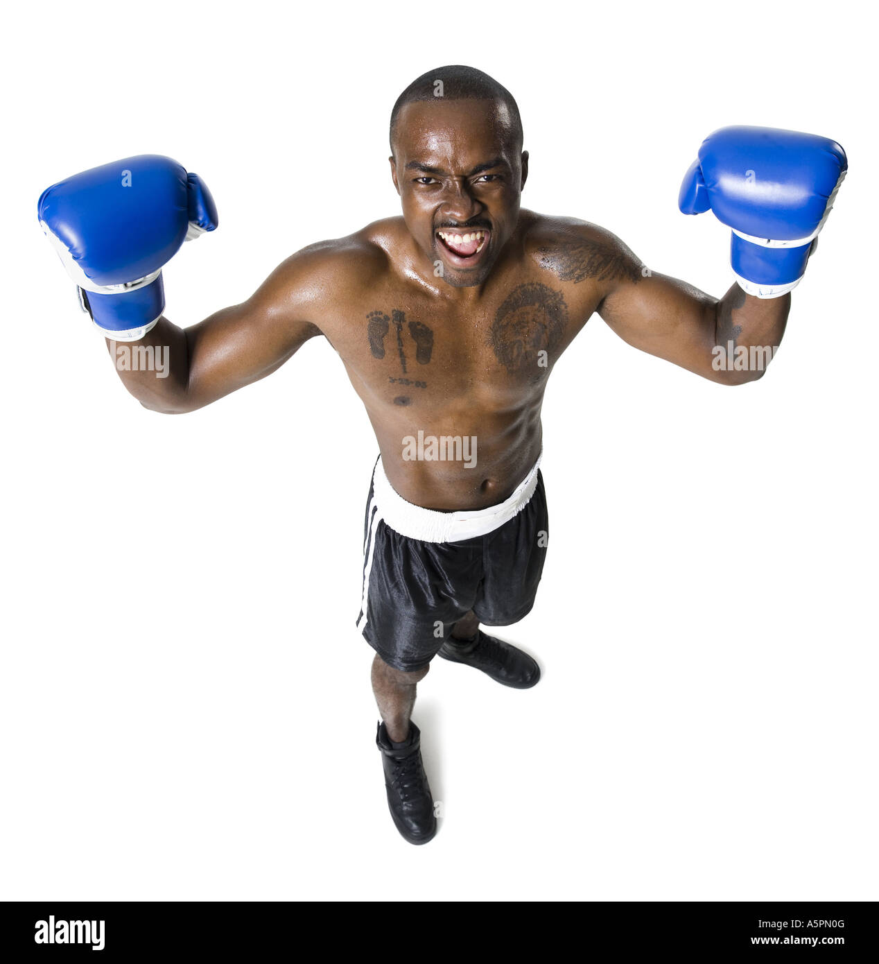Boxer celebrating victory Stock Photo - Alamy